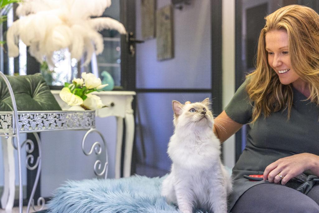 Cuddle Time - Cat Utopia Resort & Spa