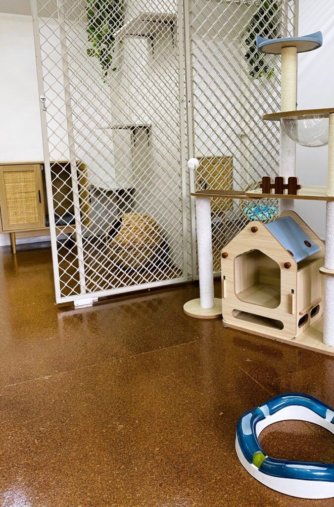 The Bungalow Suites - Cat Utopia Resort & Spa