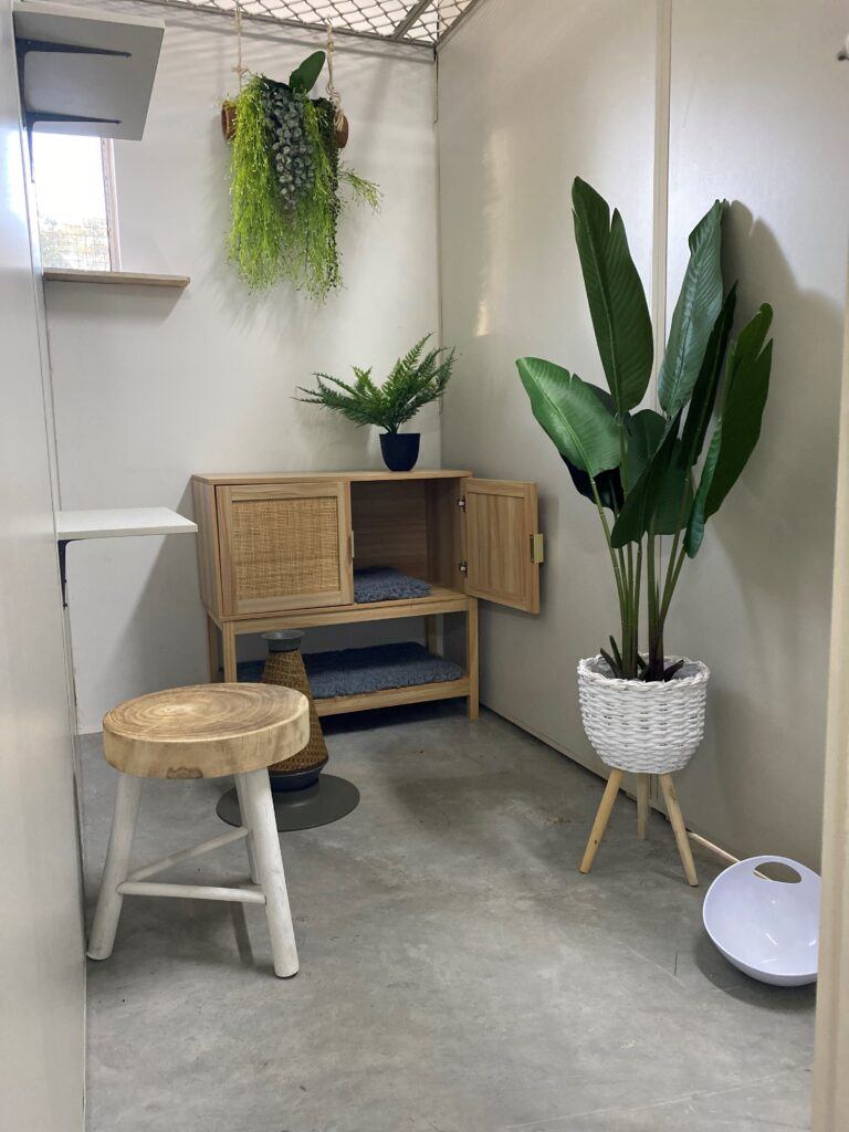 The Sanctuary Retreat - Cat Utopia Resort & Spa